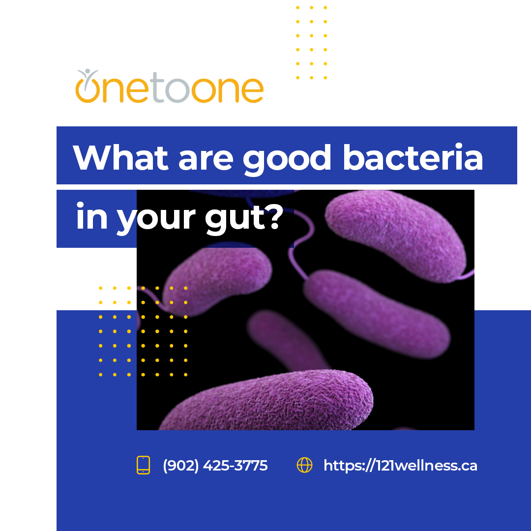 What are good bacteria in your gut? | One to One Wellness in Halifax, NS